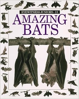 Amazing Bats (Eyewitness Junior): Frank Greenaway: 9780679815181 ...