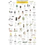 Mac's Field Guides: Midwest Garden Bugs (Mac's Guides (Flash Cards ...