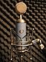 Amazon.com: Blue Microphones Bluebird Condenser Microphone : Musical ...