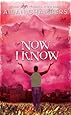 Amazon.com: Now I Know (9780810983533): Aidan Chambers: Books