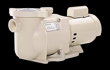 Pentair 340043 SuperFlo High Performance Energy Efficient Two Speed ...