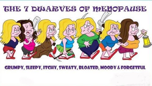 The 7 Dwarves of Menopause - Fridge Magnet: Amazon.co.uk: Kitchen & Home