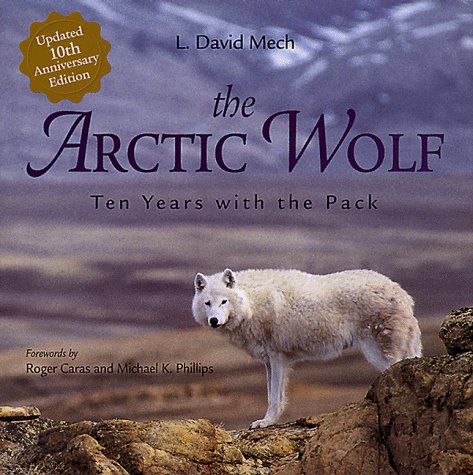 The Arctic Wolf: Ten Years With the Pack: Mech, L. David: 9780896583535 ...