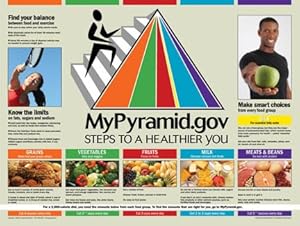 Amazon.com: My Food Pyramid Poster 18" x 24" Laminated, USDA MyPyramid ...