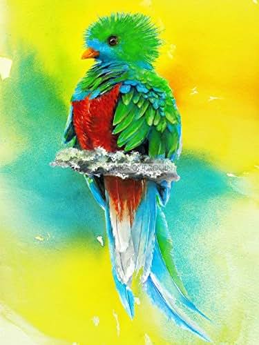 Amazon.com: Quetzal Watercolor Art Print: Handmade