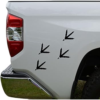 Amazon.com: Deer Track Decals - Set of 12: Automotive