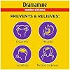 Dramamine Chewable Less Drowsy, Motion Sickness Relief, Raspberry Cream ...