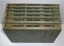 Toldt's Anatomy: An Atlas of Human Anatomy For Students and Physicians ...