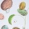 An Egg Is Quiet: (Picture Book, Kids Book about Eggs) (Family Treasure ...