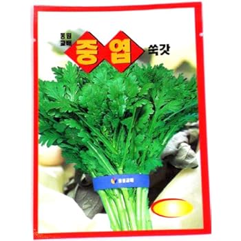 Amazon.com : Sesame Leave Seeds Korean. 1pack : Vegetable Plants ...
