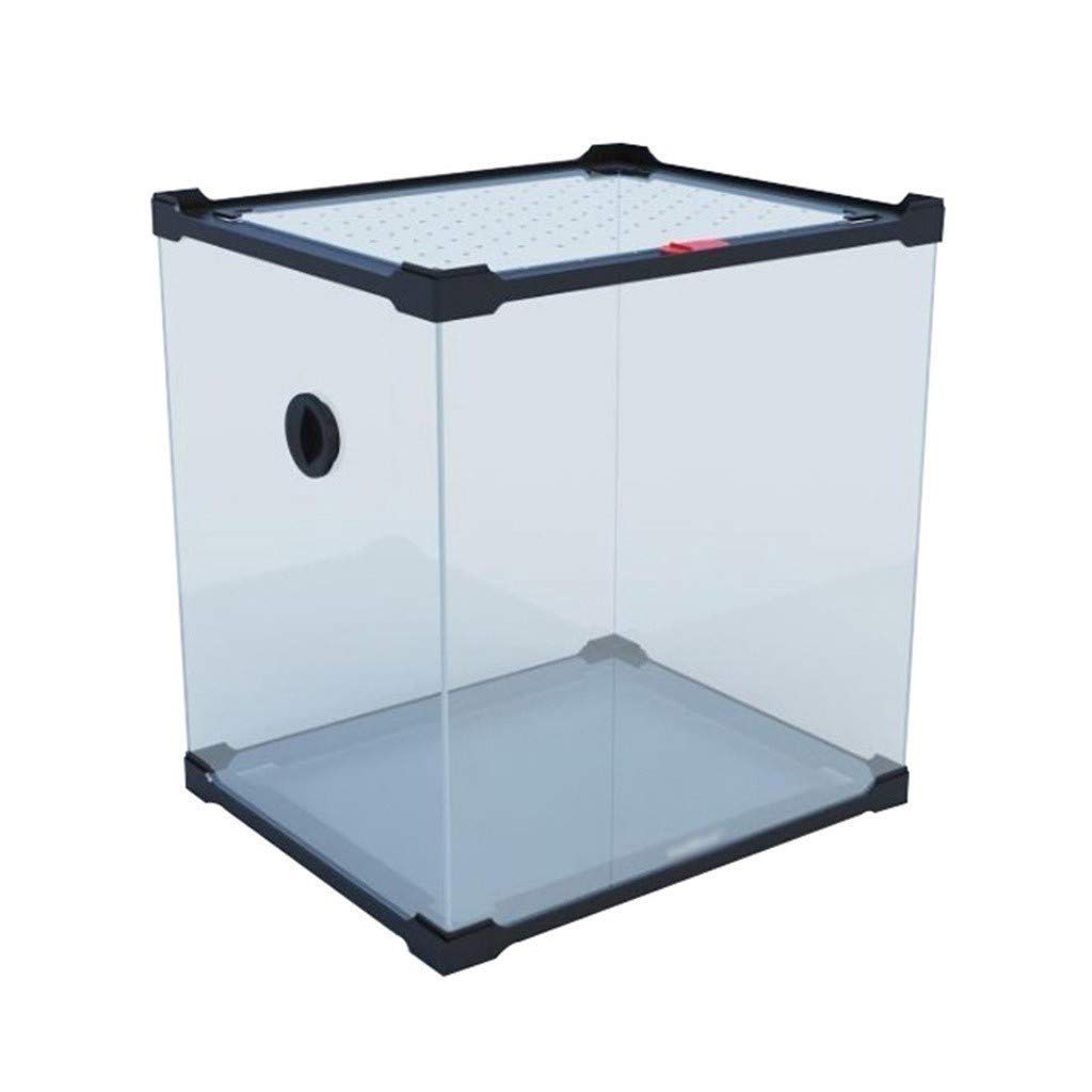 Buy Reptile Turtle Vivarium Box,Reproduction Feeding Tank- Lizard Frog ...