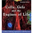 Cells, Gels and the Engines of Life: A New, Unifying Approach to Cell ...