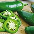 Amazon.com : Jalapeno Goliath Hybrid Pepper Seeds-Great Grillers and ...
