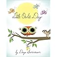 Little Owl's Day: Divya Srinivasan: 9780545916998: Amazon.com: Books