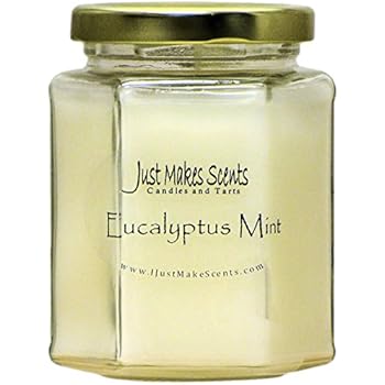 Amazon.com: Just Makes Scents Sinus Relief (Vicks Vapor Rub Type ...