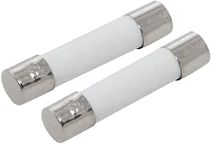 Amazon.com: DealEnvy- (2 Pack) Microwave Fuse / 20A Amp 250v Fuse, 6mm ...
