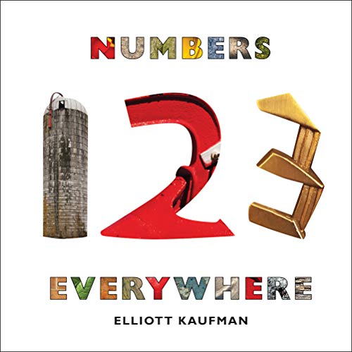 Amazon.com: Numbers Everywhere: 9780789211576: Kaufman, Elliott: Books