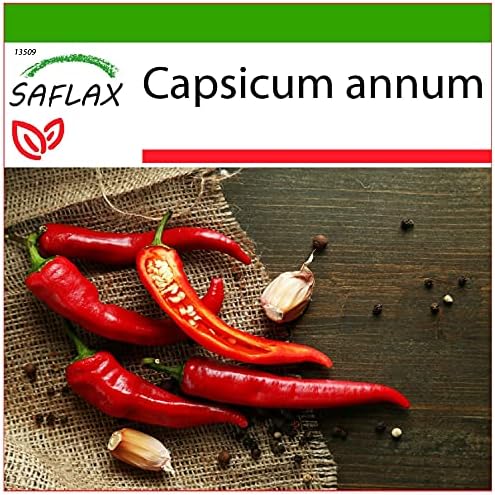 Chili - De Cayenne - 20 Seeds - with Soil - Capsicum annum price in ...
