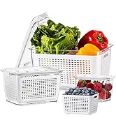 Amazon.com: LUXEAR Fresh Container, 3PACK Produce Saver Container BPA ...