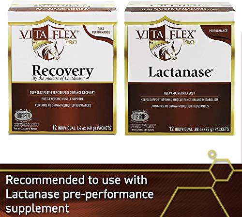 Vita Flex, 12 Count, Lactanase Performance Supplement Packets for ...