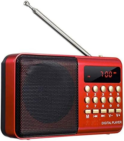 Digital FM Mini Portable Radio - Red price in Egypt | Amazon Egypt ...