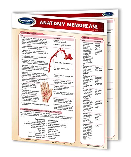 Nursing Quick Reference Guides - 4 Chart Bundle - Medical Study Guides ...
