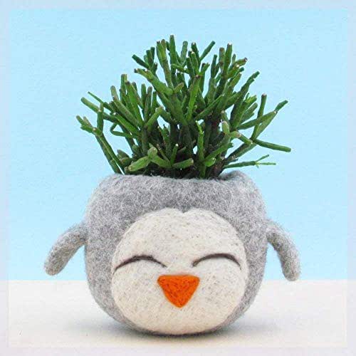 Amazon.com: Happy penguin planter, Felt succulent vase, little pot for ...