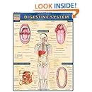 Digestive System (Quick Study Academic): Inc. BarCharts: 9781572225251: Amazon.com: Books