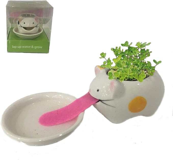 Amazon.com : Watering Animal Planter, Self Watering Planter Drinking ...