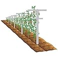 Amazon.com : MRGARDEN 7-Feet Adjustable Garden Trellis Set for ...