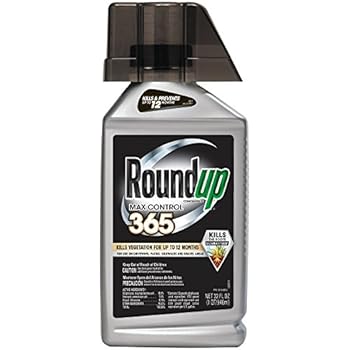 Amazon.com : Roundup Max Control 365 Concentrate Weed Killer Plus Weed ...