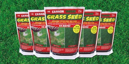 10kg Canada Green Grass Seed (10 x 1kg packs) Coverage up to 470 sq ...