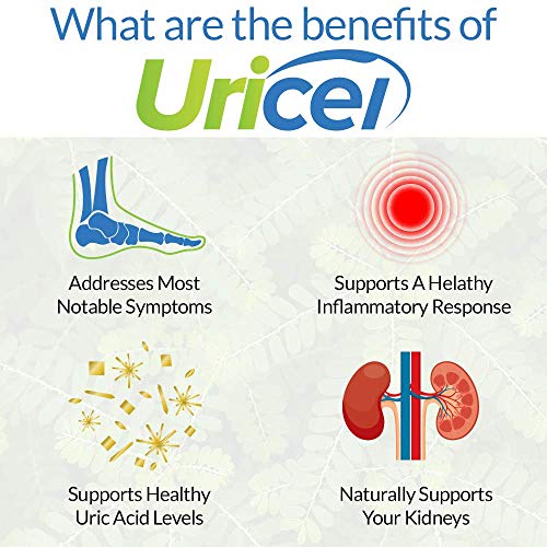 Uricel The Best Uric Acid Support Formula - High Potency Advanced Key ...