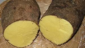 Jamaican Yellow Yam (1 Tuber): Amazon.com: Grocery & Gourmet Food