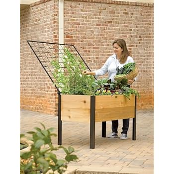 Amazon.com : Mobile Garden Vegetable Patch Planter Pot & Trellis ...
