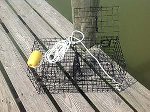 Amazon.com : Maryland Blue Crab Pot Trap Chesapeake Atlantic Blue Crab ...