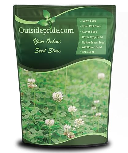 Outsidepride Perennial White Dutch Clover Seed - 10 lbs. Nitrocoated ...