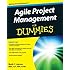 Agile Application Lifecycle Management: Using DevOps to Drive Process Improvement: Bob Aiello ...