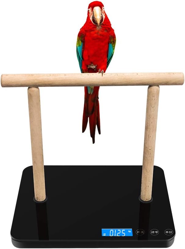 High Accuracy Digital Birds Training Scale with Perch, Weight Capacity ...