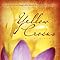 Yellow Crocus: A Novel: Amazon.co.uk: Ibrahim, Laila: 9780984502202: Books