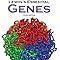 Lewin's Essential GENES (Biological Science): 9781449644796: Medicine ...