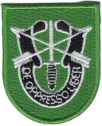Amazon.com: 10th Special Forces Group Flash Patch With Crest: Clothing
