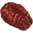 Amazon.com: Bloody Brain Plastic Halloween Horror Haunted House Prop ...