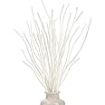 Amazon.com: SOUJOY 30 PCS Willow Stick, Decorative Dried Curly Branches ...