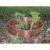 Copper Slug Tape Multibuy 3 x 4m rolls: Amazon.co.uk: Garden & Outdoors