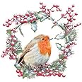 Amazon.com: 20ct Robin Napkins - 13x13 Christmas Bird Napkins with ...