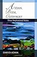 The Holy Island of Lindisfarne: David Adam: 9780819223449: Amazon.com ...