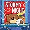 Stormy Night: Yoon, Salina: 9781681191652: Amazon.com: Books