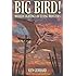 Amazon.com: Encounters with Flying Humanoids: Mothman, Manbirds, Gargoyles & Other Winged Beasts ...