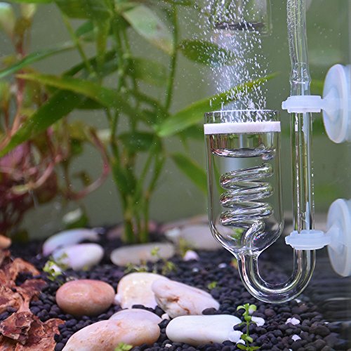 Glass CO2 Reactor, 3 Spiro Glass Diffuser for Aquarium Plants, Suitable ...